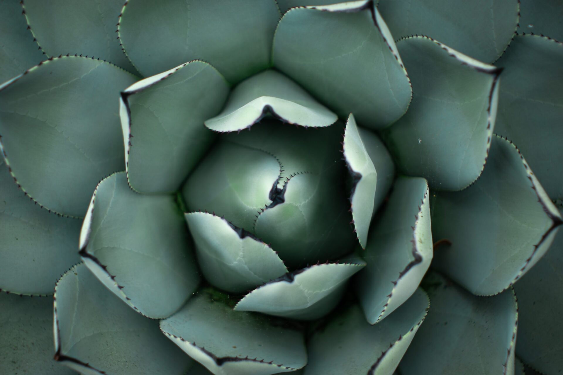 Ask The Psychologist: "Why Am I So Sensitive?" - Dr. Elayne Daniels