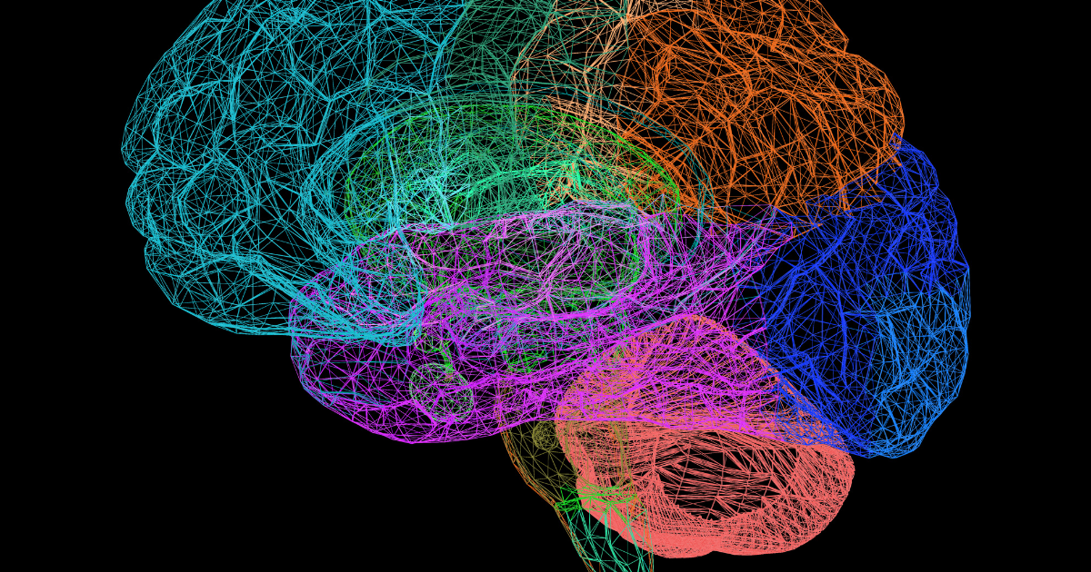 6 Ways a Highly Sensitive Person's Brain is Different - Dr. Elayne Daniels